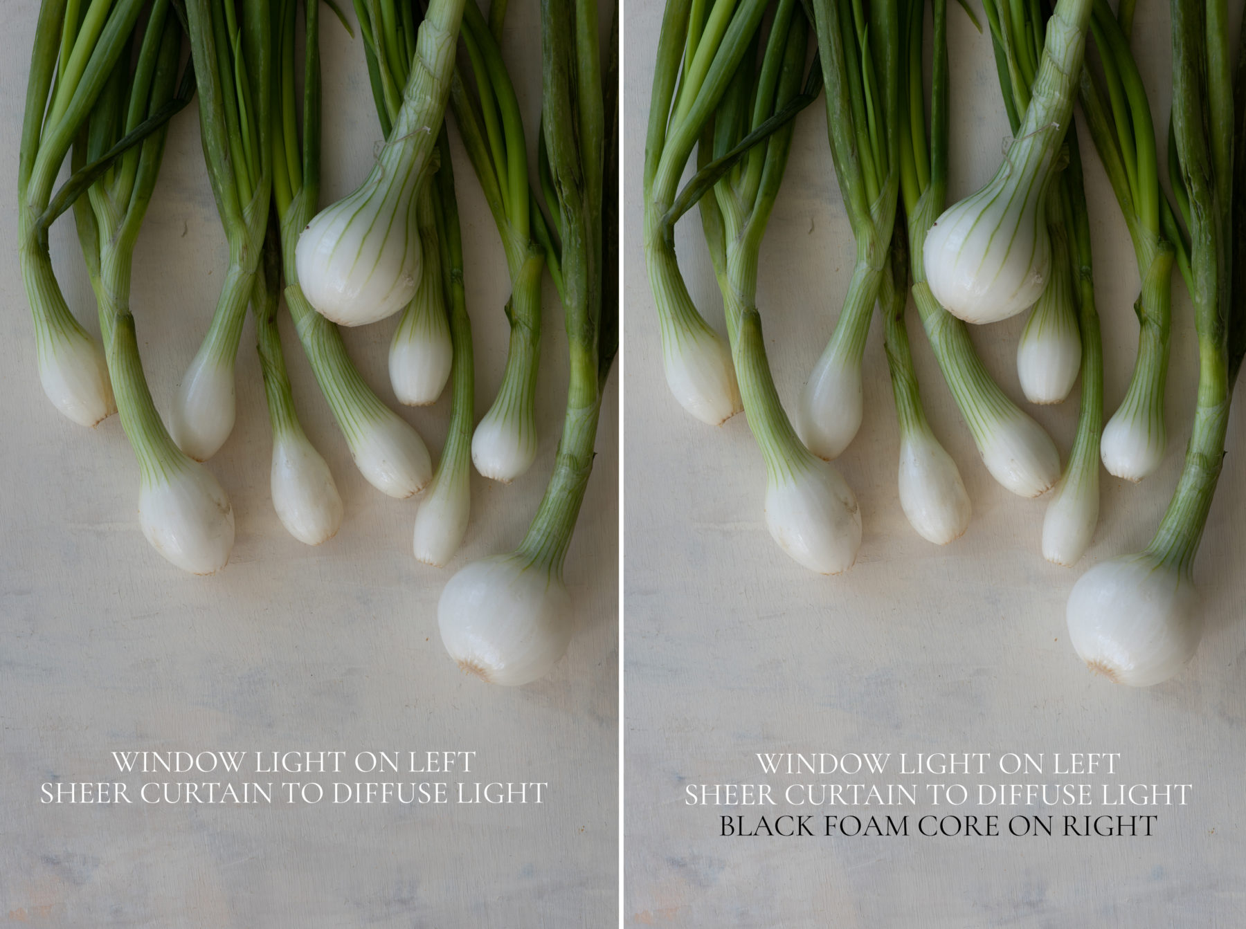 Natural Light Food Photography Tips - Regan Baroni