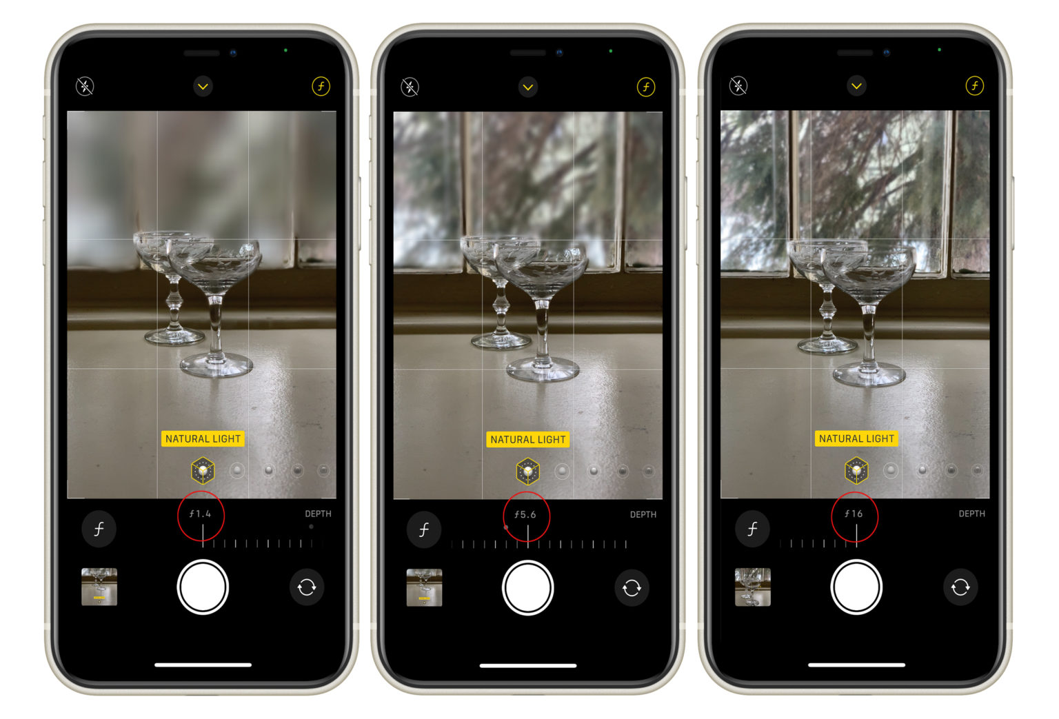iPhone Photography Tips From A Photographer | Regan Baroni