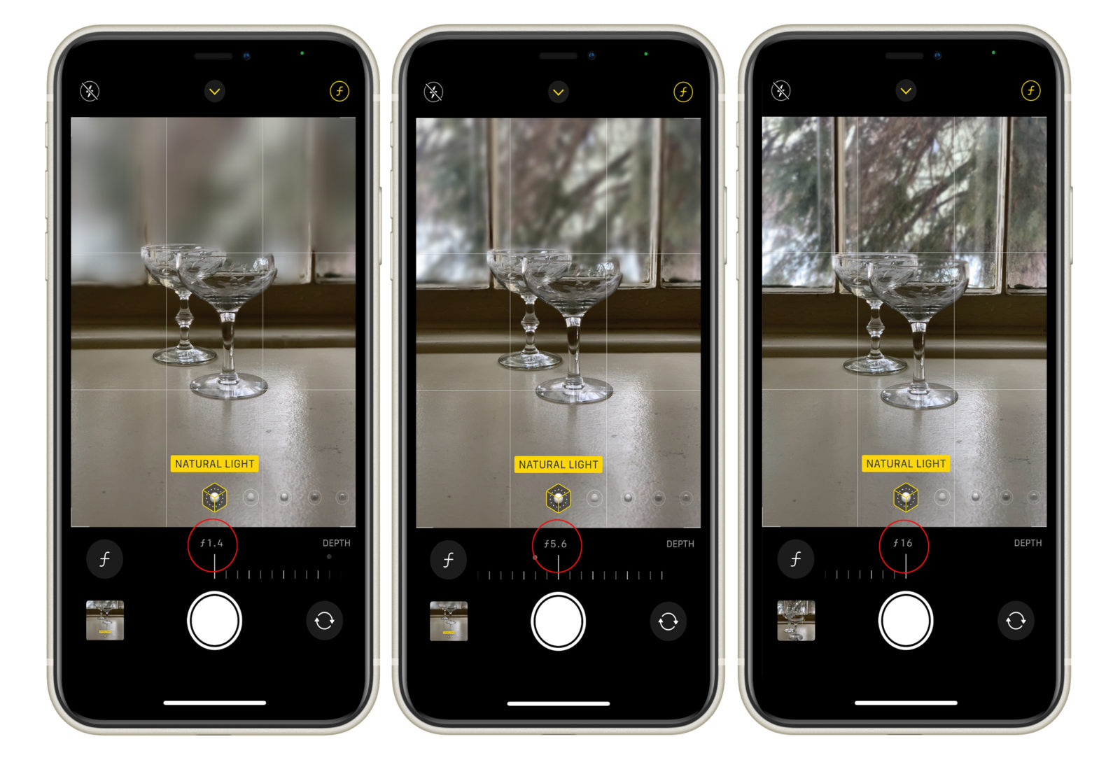 iPhone Photography Tips From A Photographer | Regan Baroni