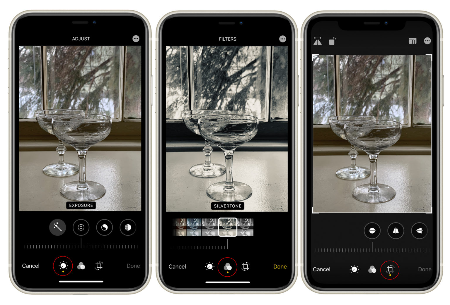 iPhone Photography Tips From A Photographer | Regan Baroni