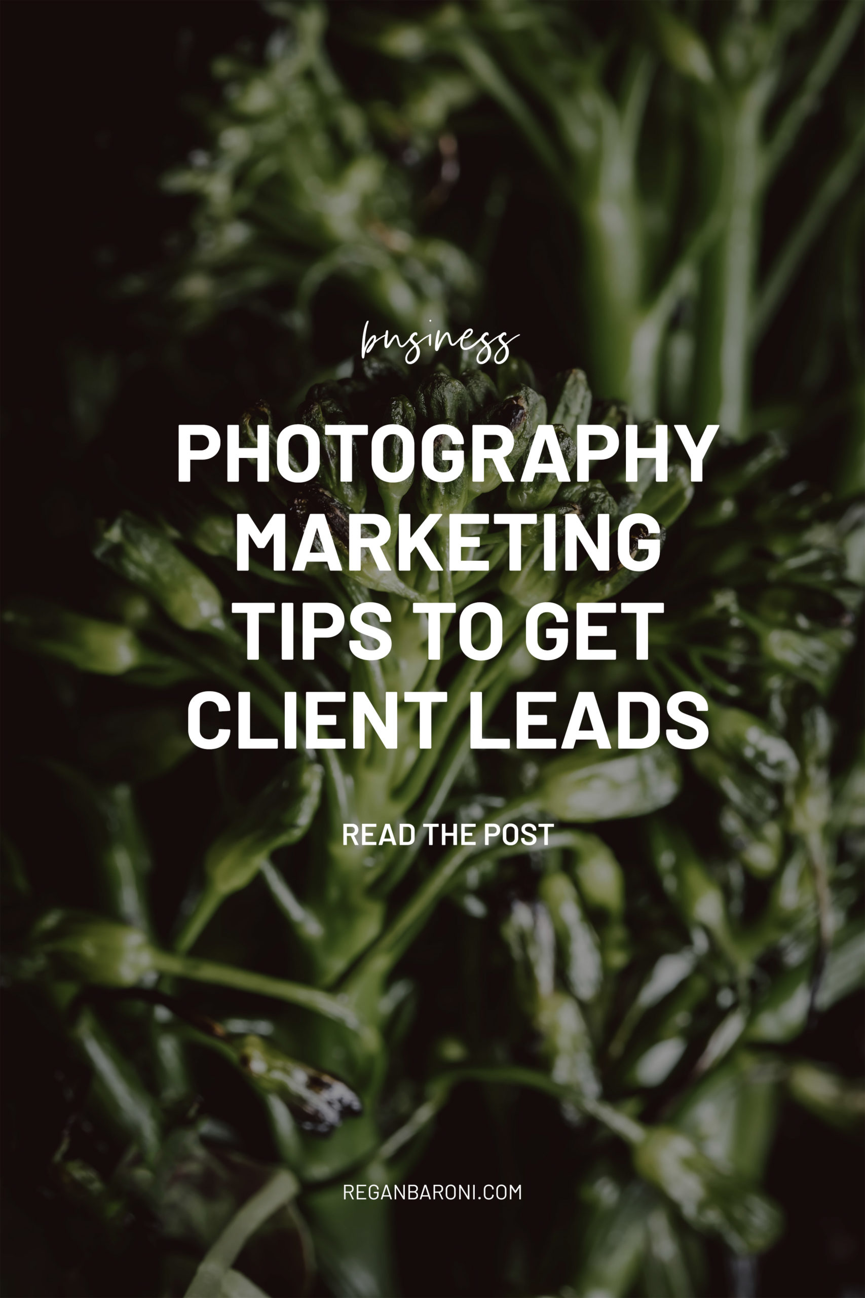 Photography Marketing Tips To Get Client Leads | Regan Baroni