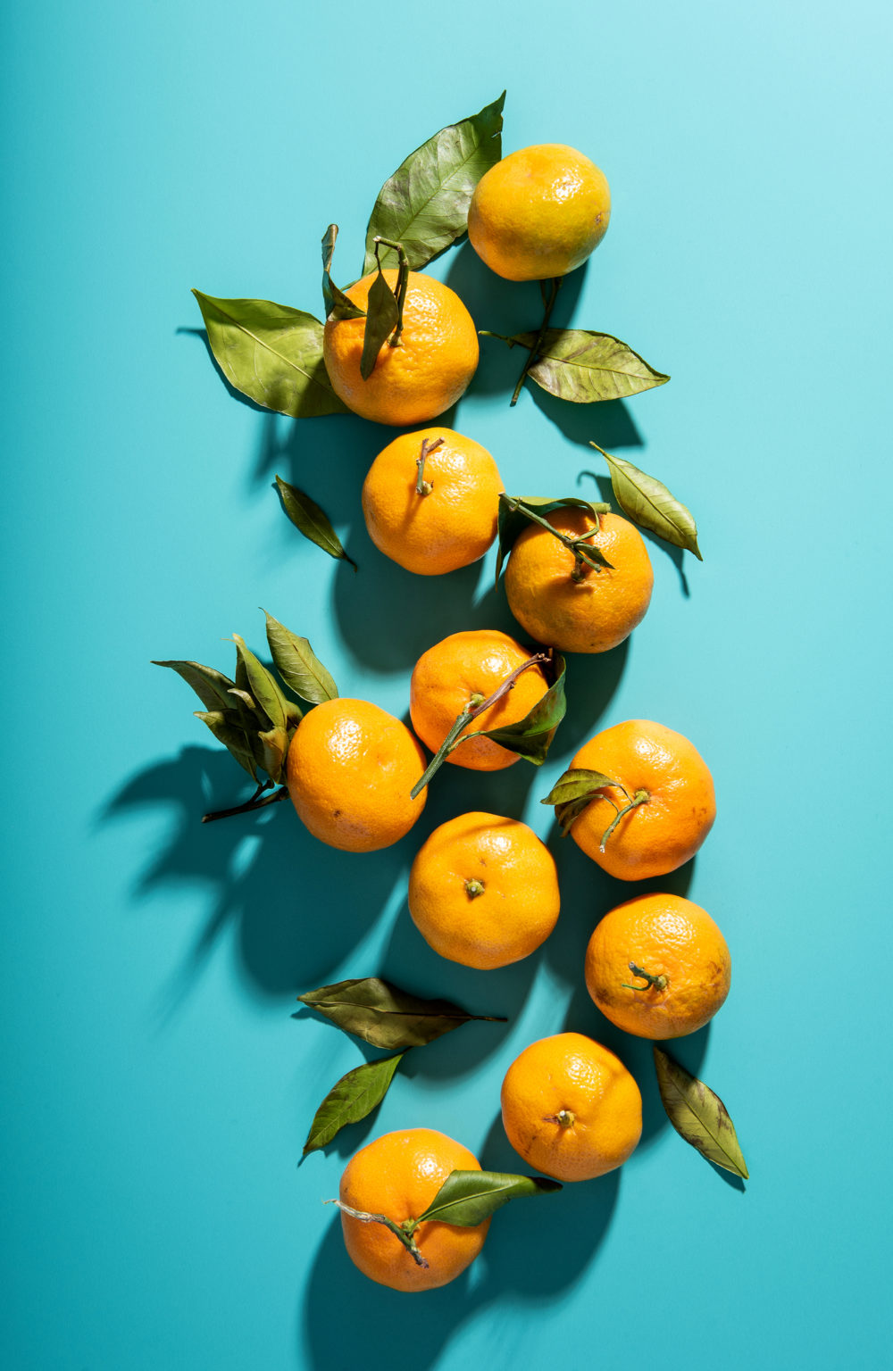 The Best Lenses for Food Photography | Regan Baroni