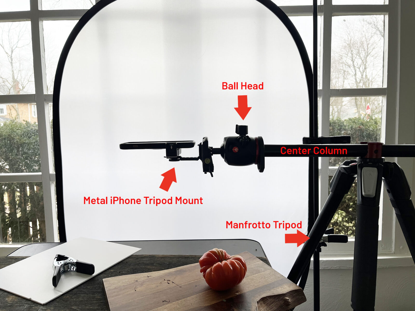The Best iPhone Tripod for Food Photography | Regan Baroni